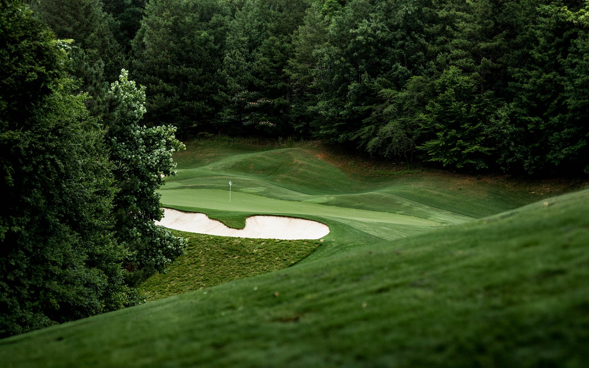 Golf | Windermere Golf Club | Suwanee, GA | Invited